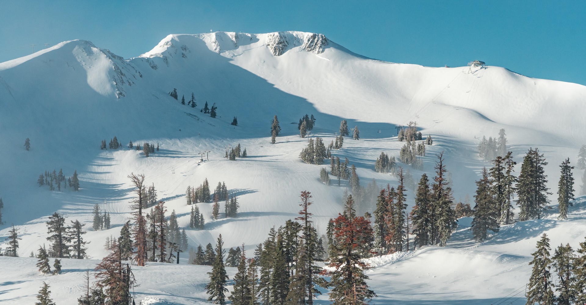 Environment | California Ski Industry Association