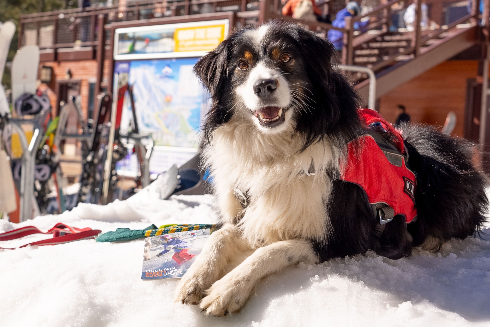 Annual Ski California Safety Day to Focus on 'Your Responsibility Code ...